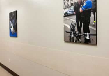 InPro® Wall Panels, Strips, and Rolls